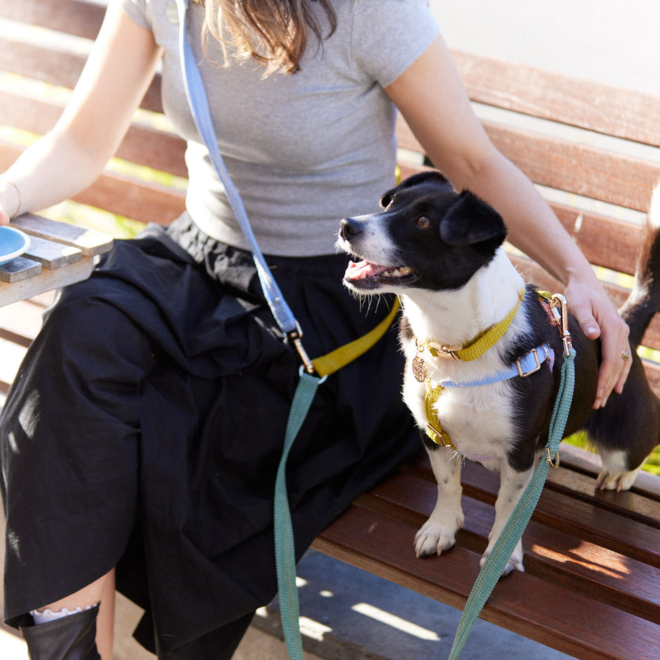 Cord Adjustable Dog Leash - Cutie Pie